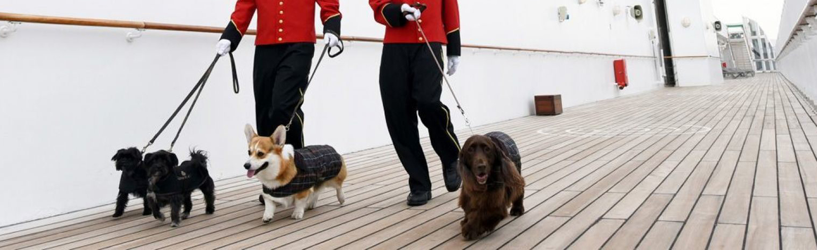It's a Dog's Life on a Cunard Cruise | Travel Associates