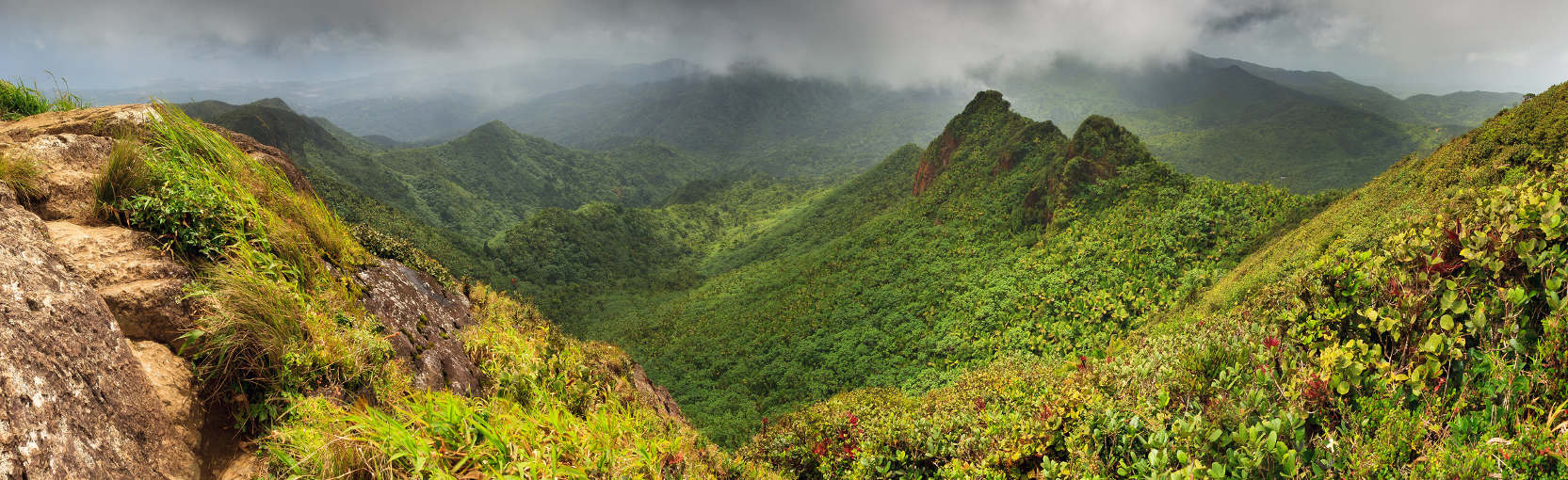 Savouring Puerto Rico, the Island of Enchantment | Travel Associates